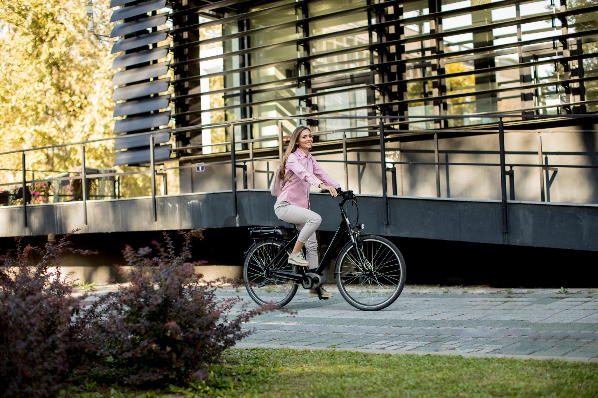 The electric bike market in the D-A-CH region ( Germany, Austria ...